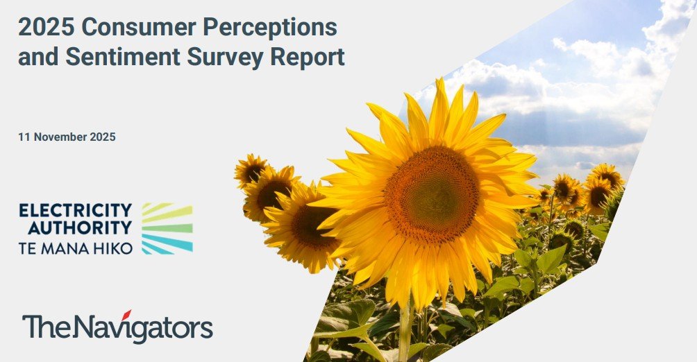 Consumer insights helping to shape the Electricity Authority’s work ...